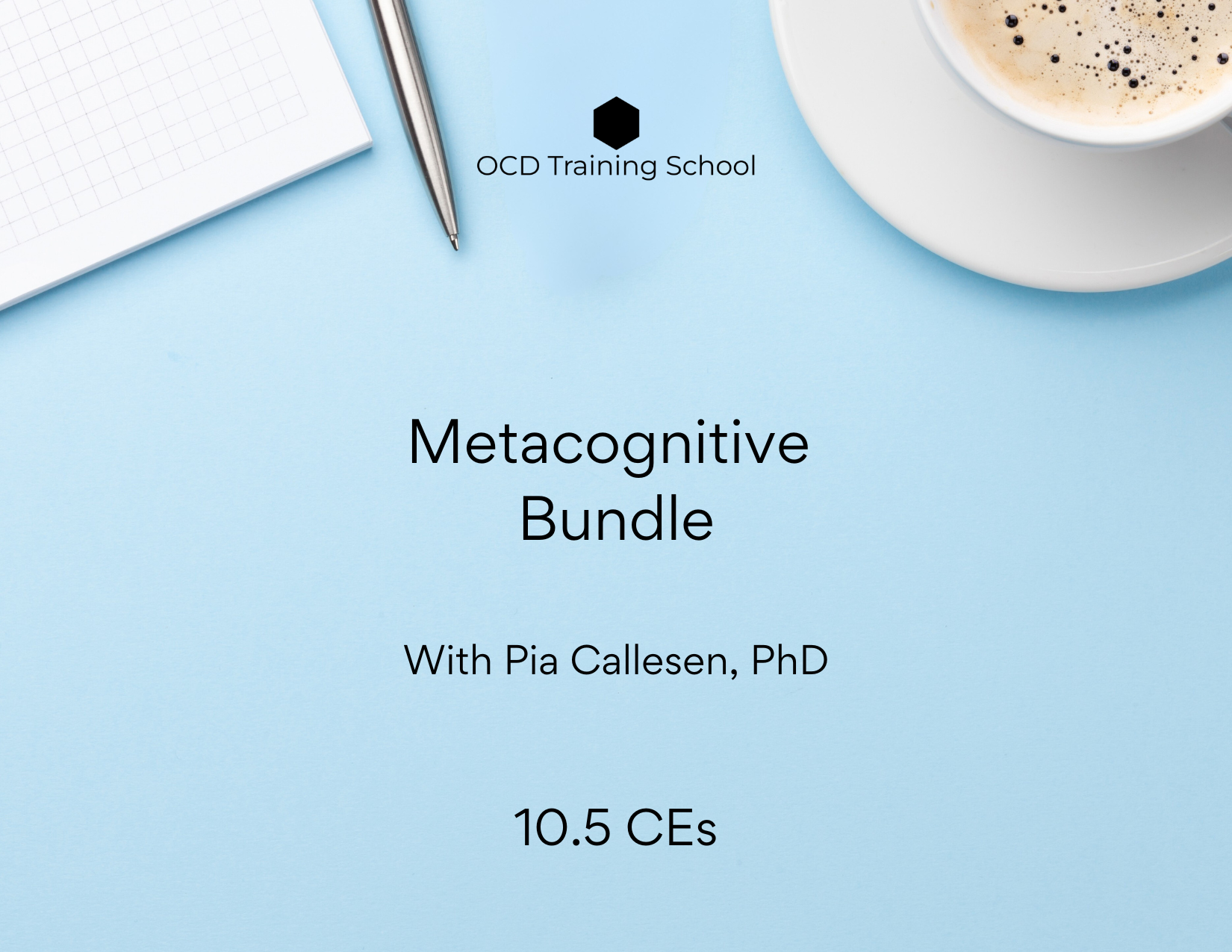 Metacognitive Bundle